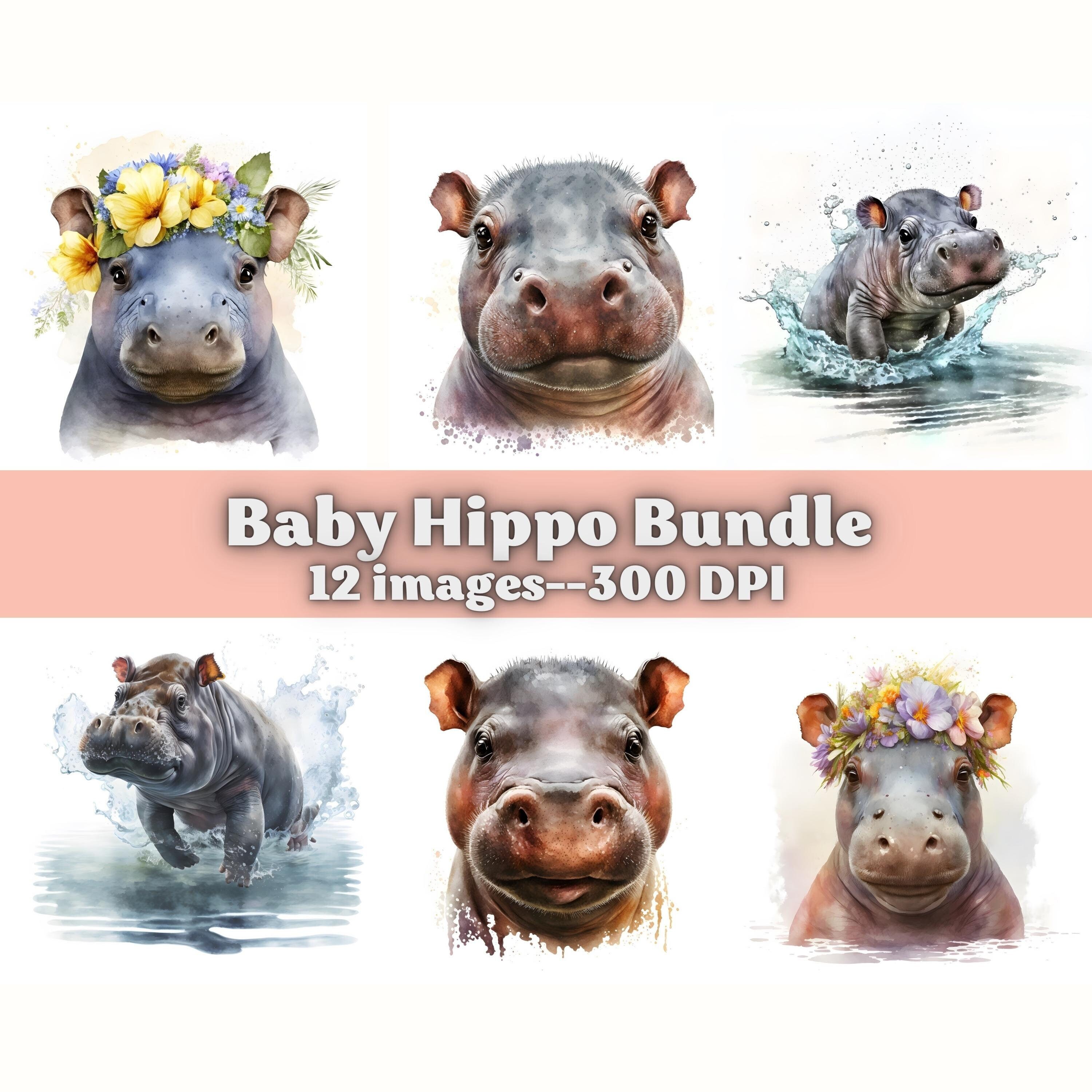 Safari Animals Clipart PNG Bundle Baby Hippo PNG Watercolor - Etsy ...