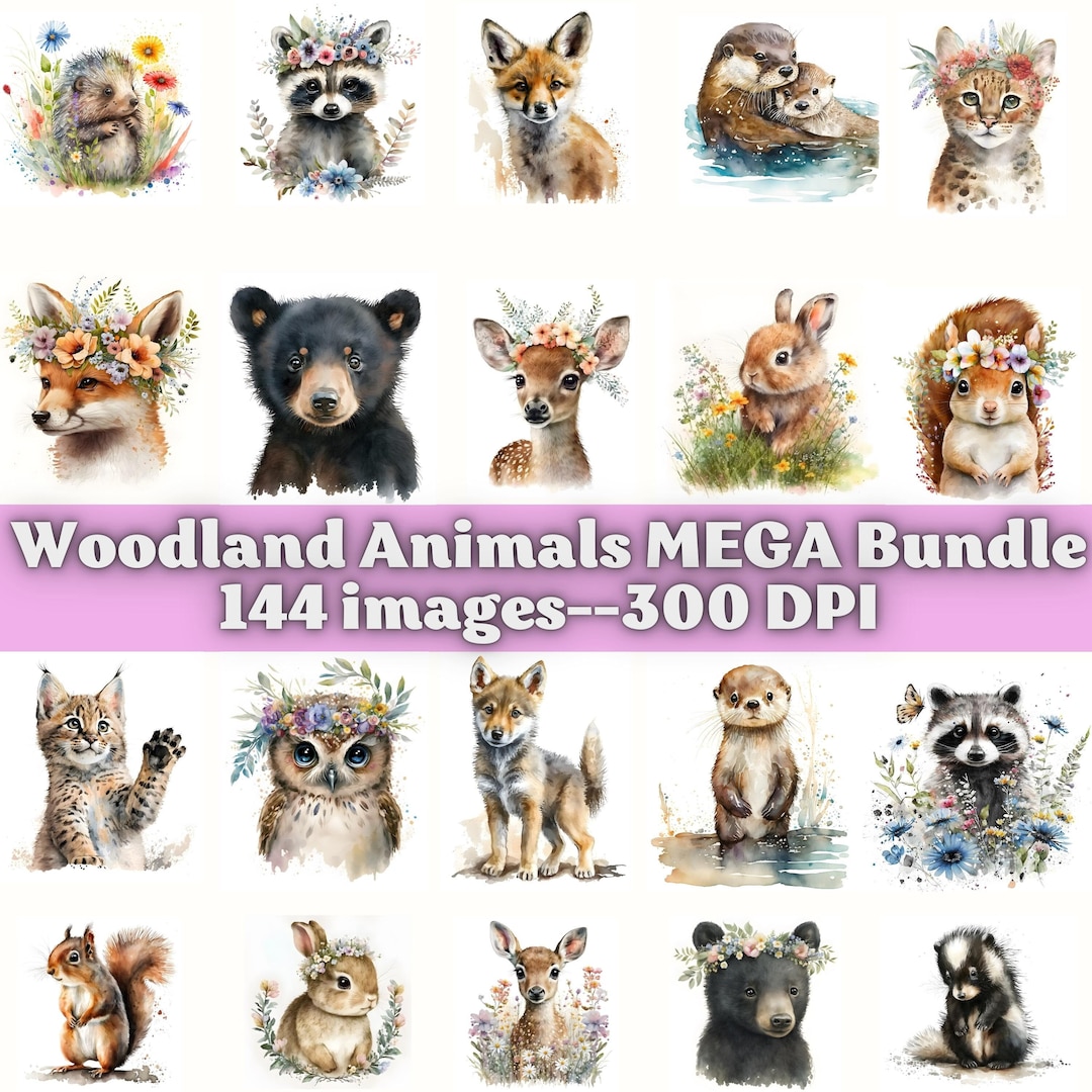 Woodland Animal PNG Bundle, Baby Animals Clip Art, Watercolor, Forest ...