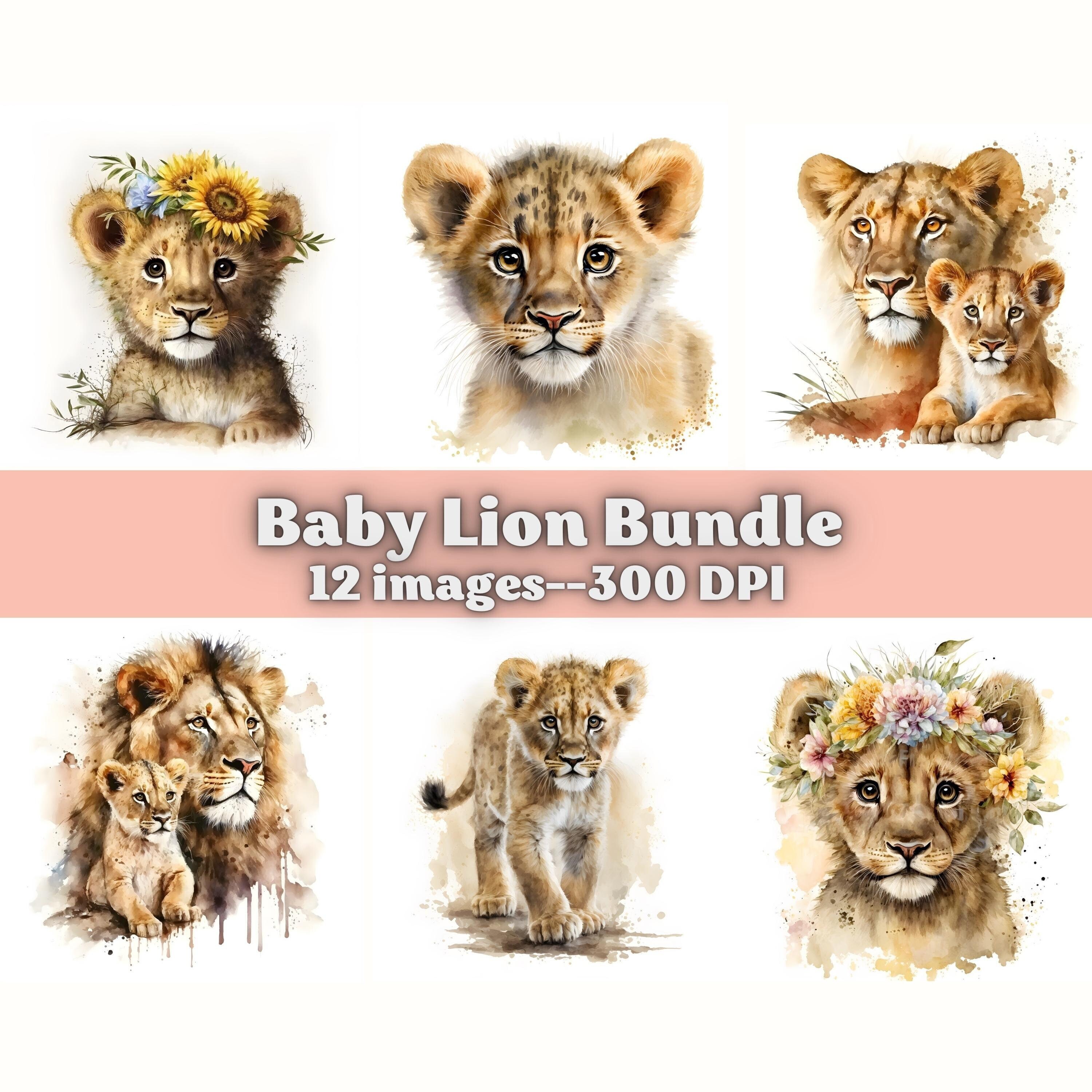 Safari Animal Clipart PNG Bundle, Baby Lion PNG, Watercolor, Baby ...