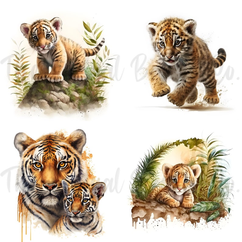 Jungle Animals Clipart PNG Bundle, Baby Tiger PNG, Watercolor, Baby ...
