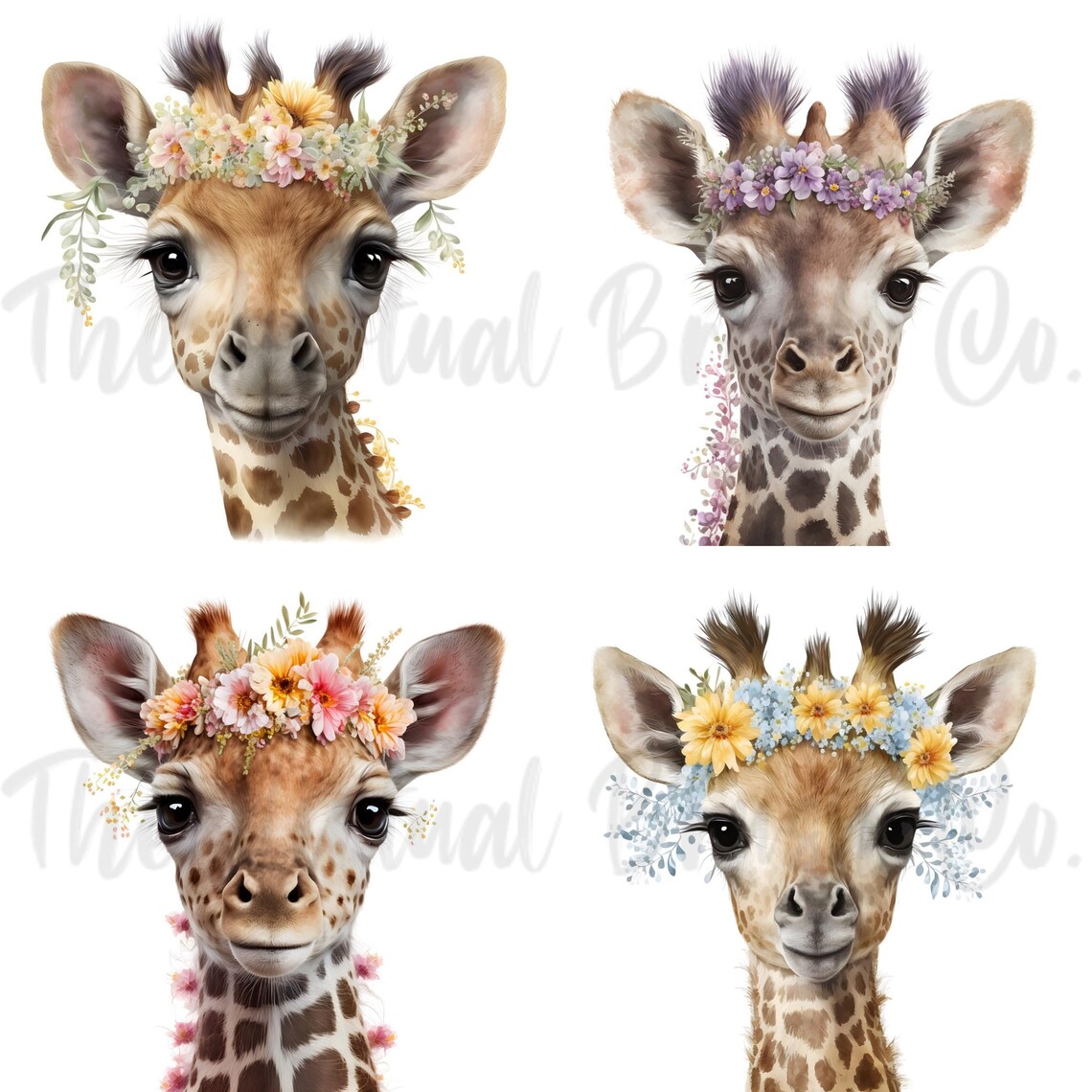 Safari Animals Clipart PNG Bundle, Baby Giraffe PNG, Watercolor, Baby ...