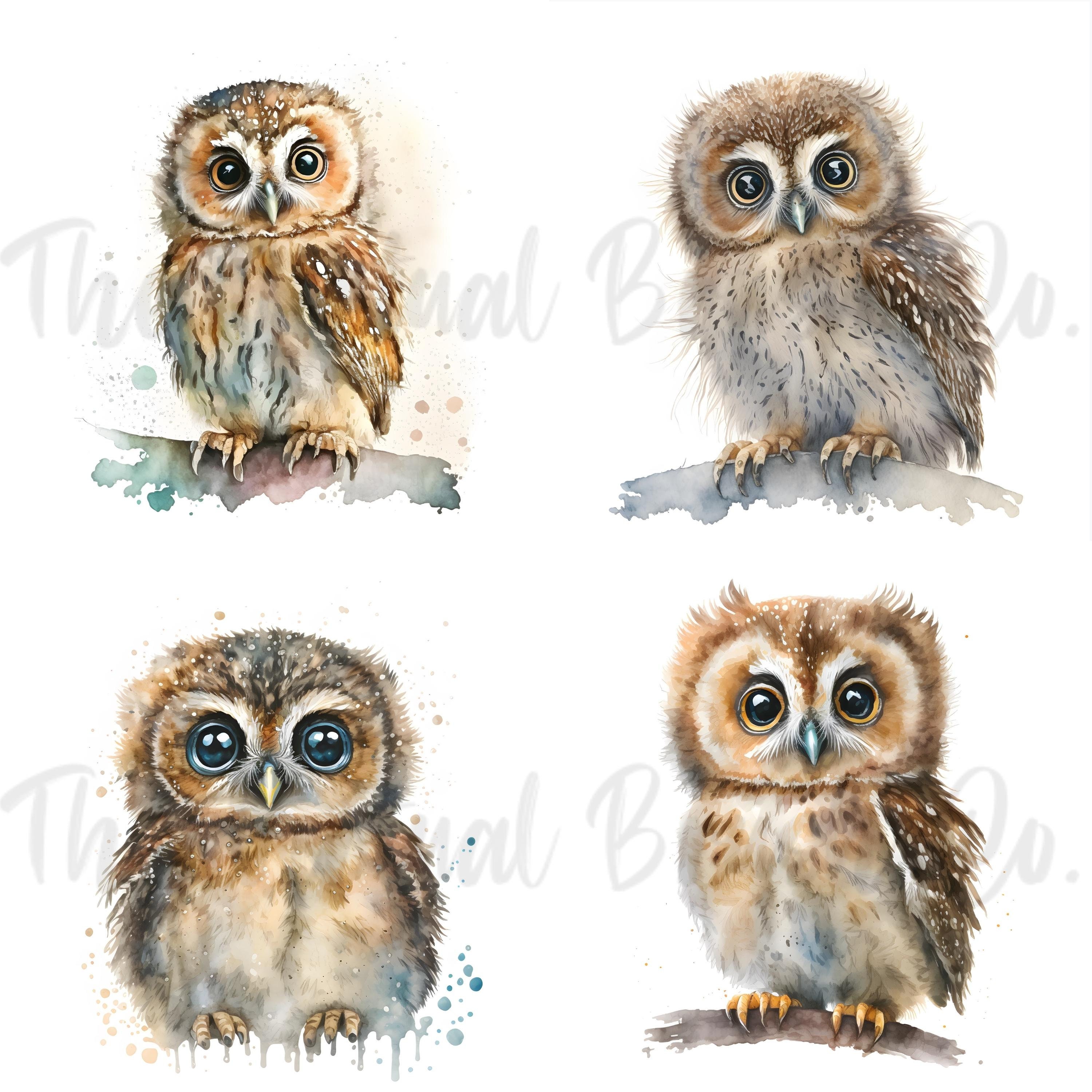 Woodland Animal PNG Owl Clip Art Owl PNG Watercolor - Etsy