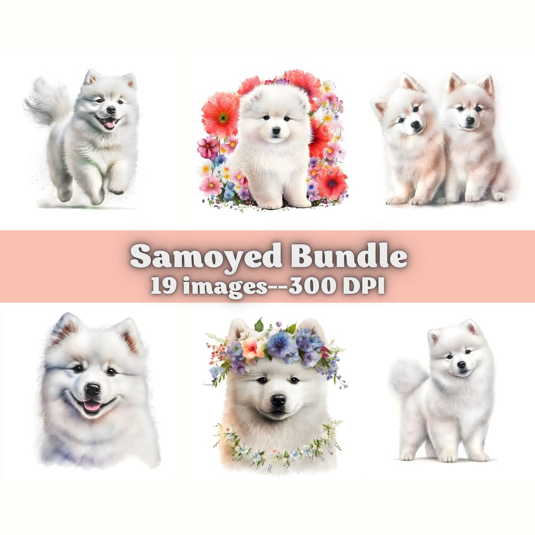 Samoyed Puppy Clipart, Cute Dog Clipart, Dog PNG, Watercolor Samoyed ...