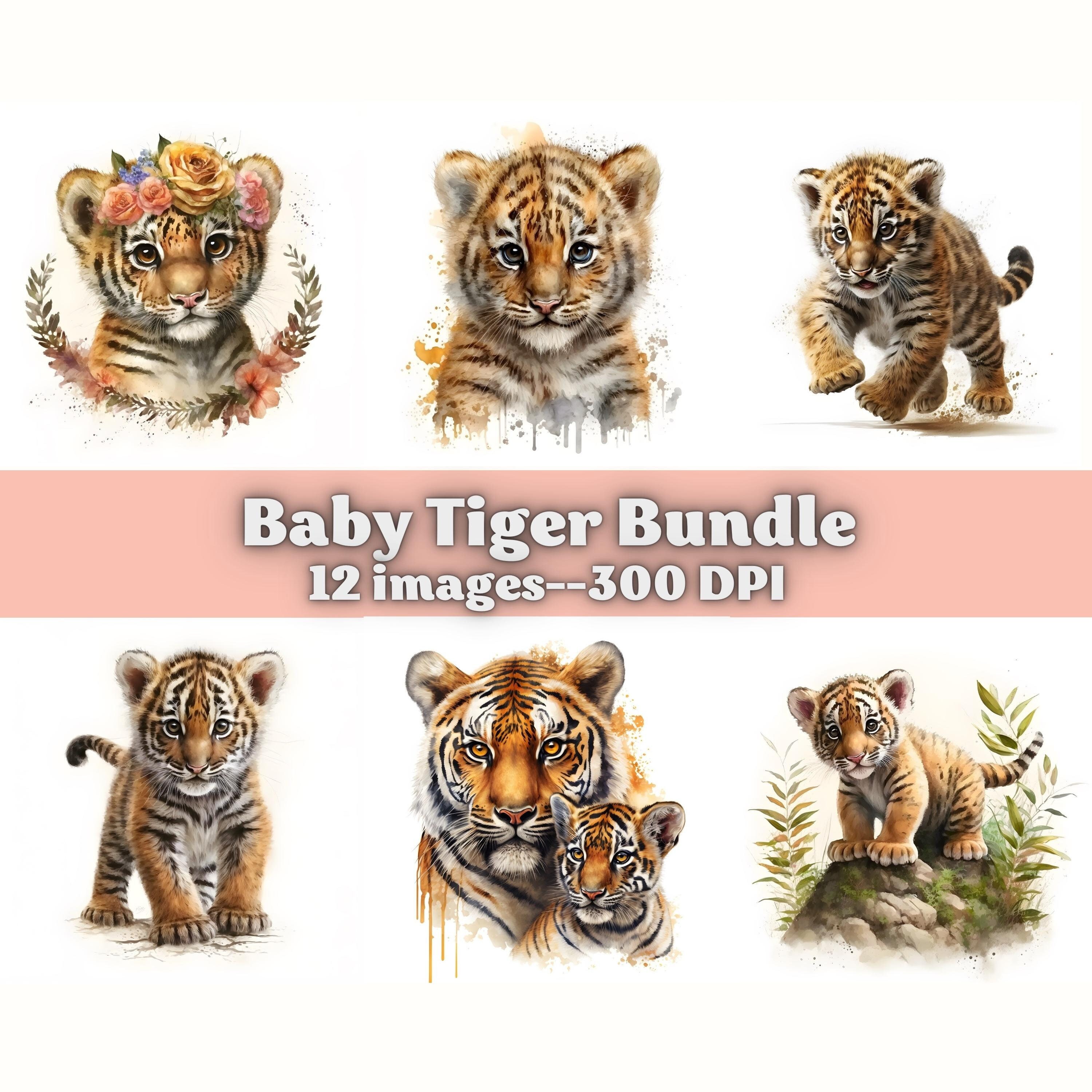 Jungle Animals Clipart PNG Bundle, Baby Tiger PNG, Watercolor, Baby ...
