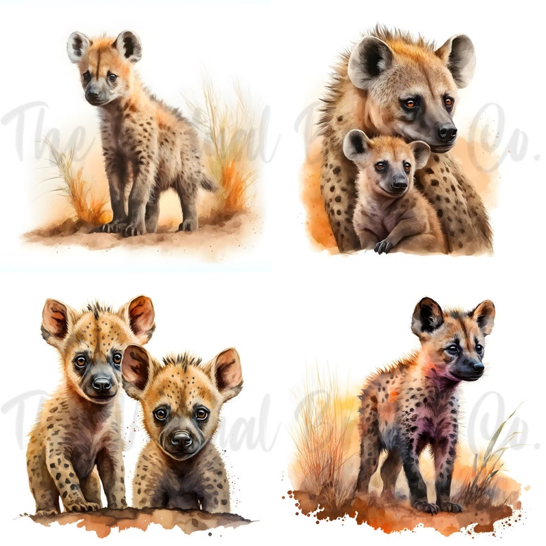 Safari Animals Clipart PNG Bundle, Baby Hyena PNG, Watercolor, Baby ...