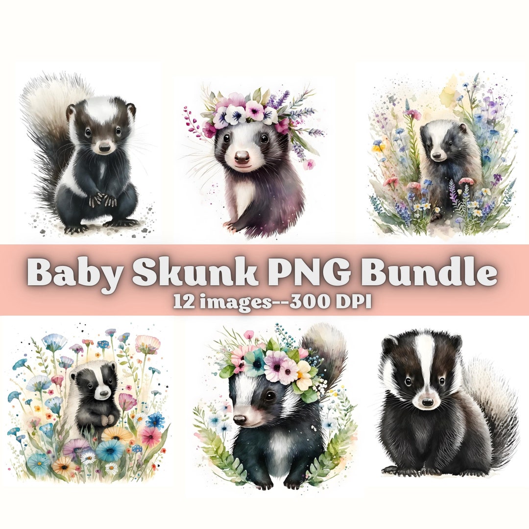 Woodland Animal PNG, Skunk Clip Art, Skunk PNG, Watercolor, Baby Skunk ...