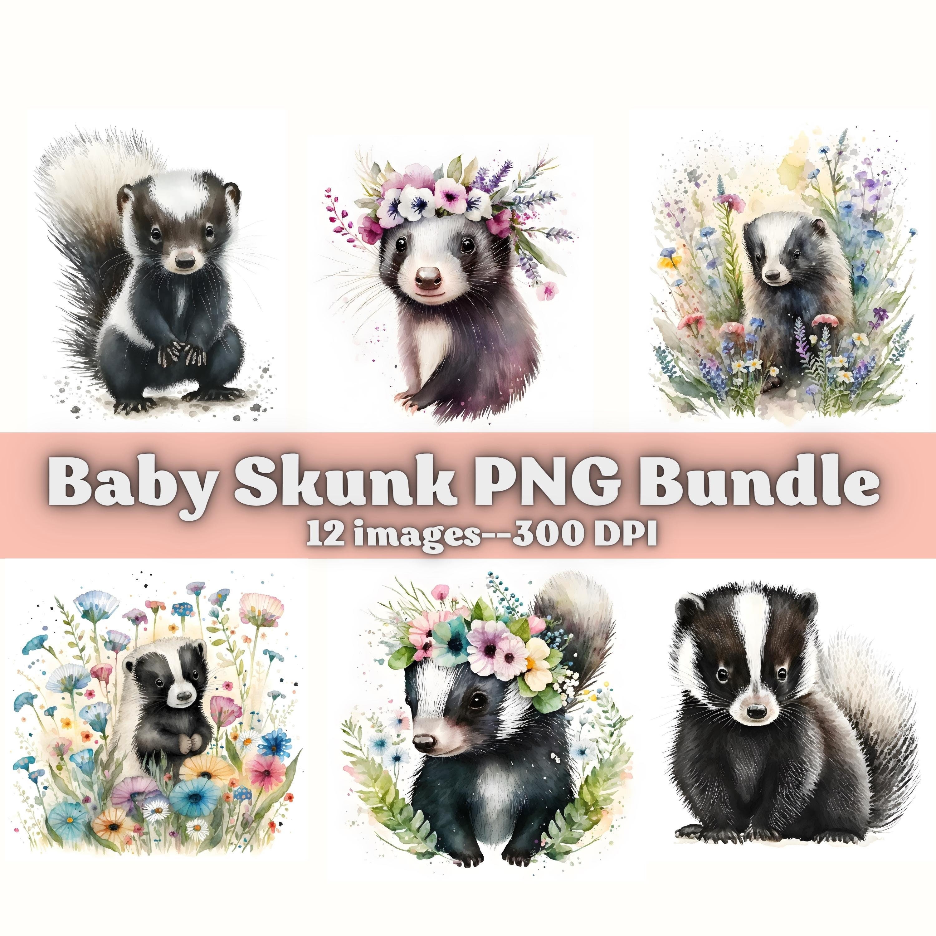 Woodland Animal PNG, Skunk Clip Art, Skunk PNG, Watercolor, Baby Skunk ...