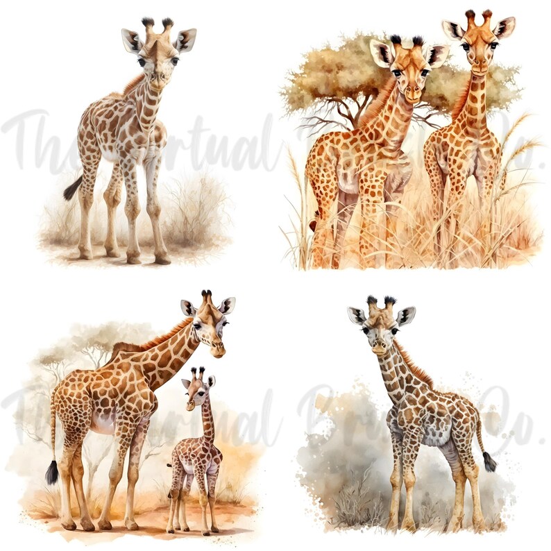 Safari Animals Clipart PNG Bundle, Baby Giraffe PNG, Watercolor, Baby ...