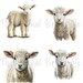 Lamb Clipart, Farm Animal PNG, Lamb PNG, Sheep Clipart, Watercolor ...