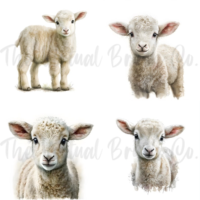 Lamb Clipart, Farm Animal PNG, Lamb PNG, Sheep Clipart, Watercolor ...