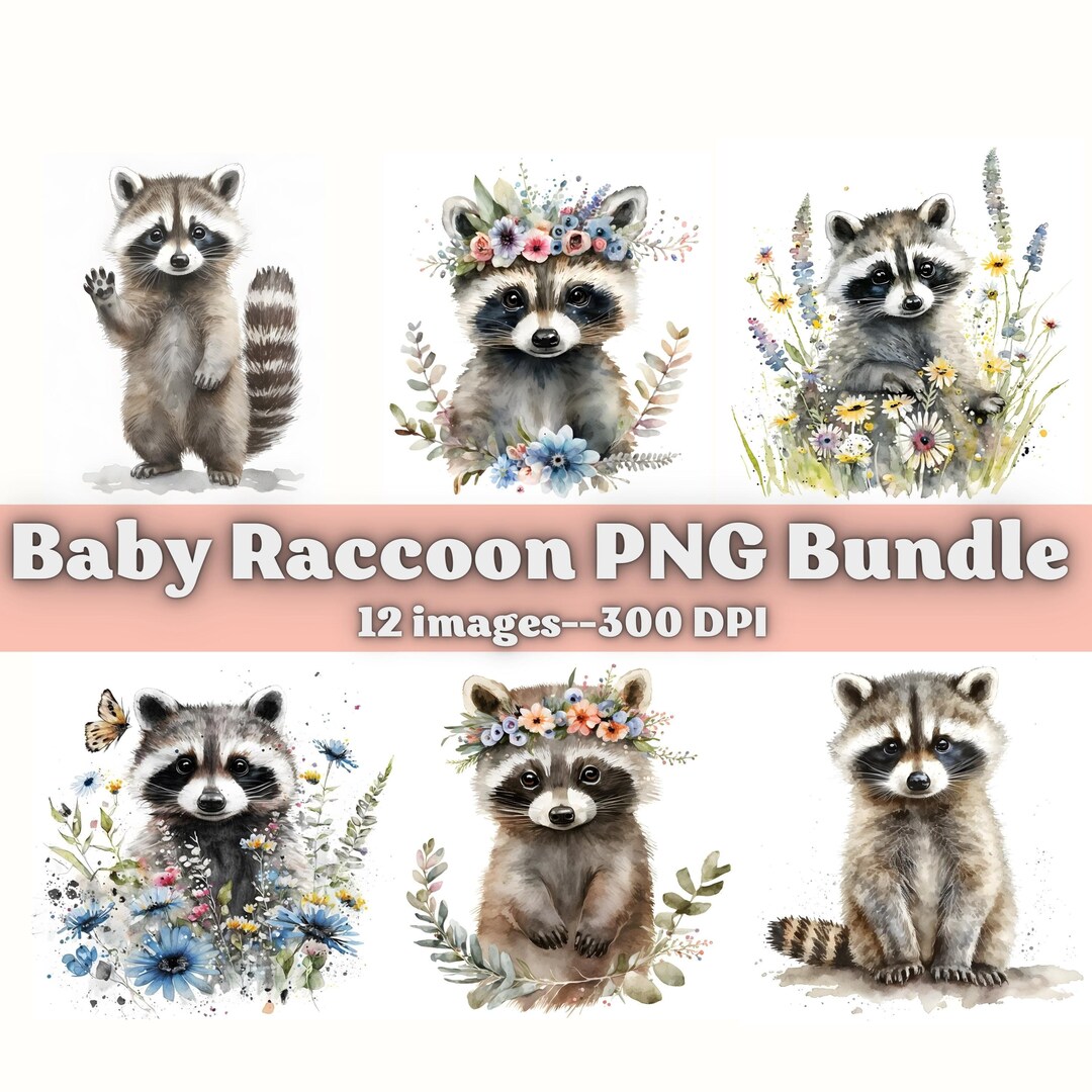 Woodland Animal PNG, Raccoon Clip Art, Baby Raccoon PNG, Watercolor ...