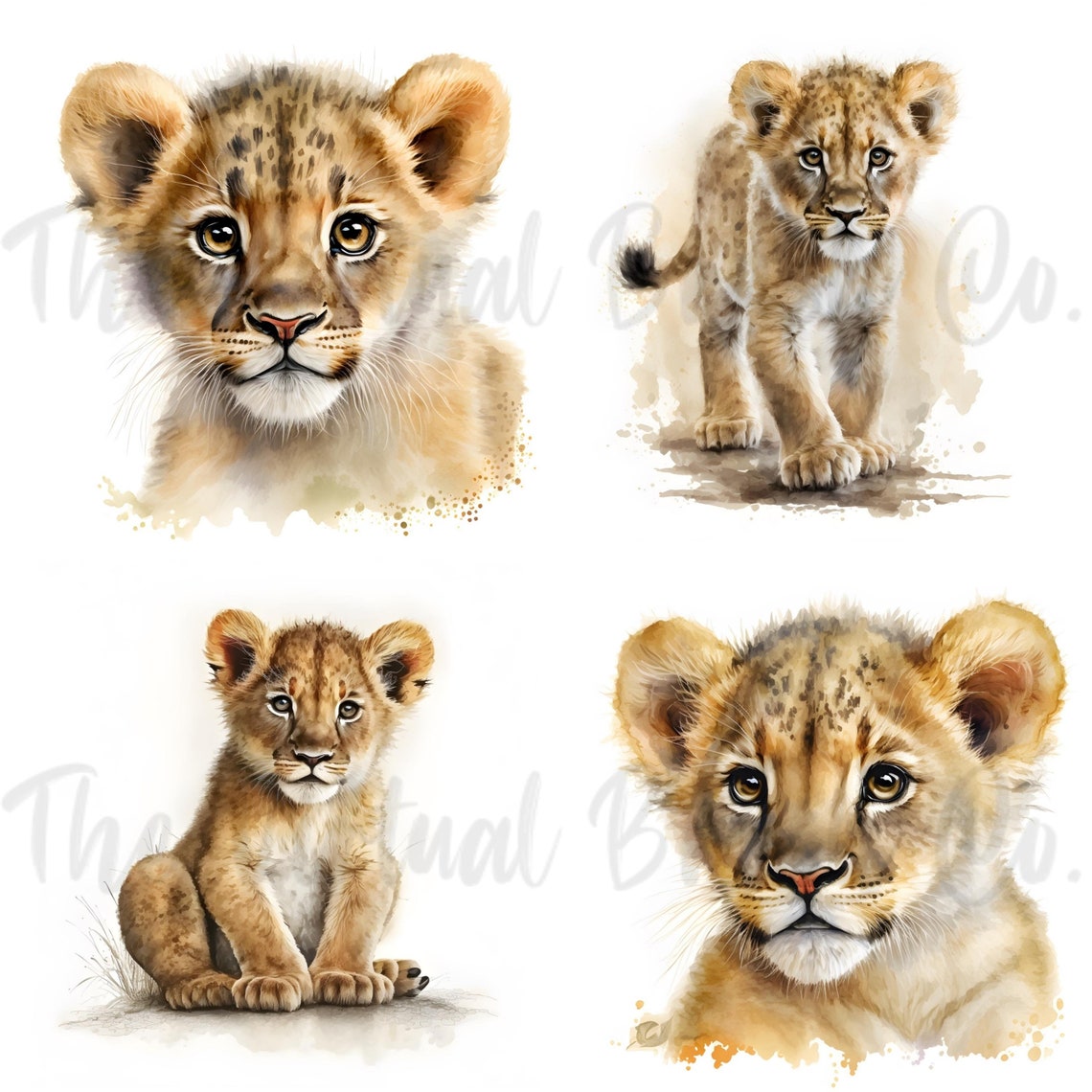 Safari Animal Clipart PNG Bundle, Baby Lion PNG, Watercolor, Baby ...