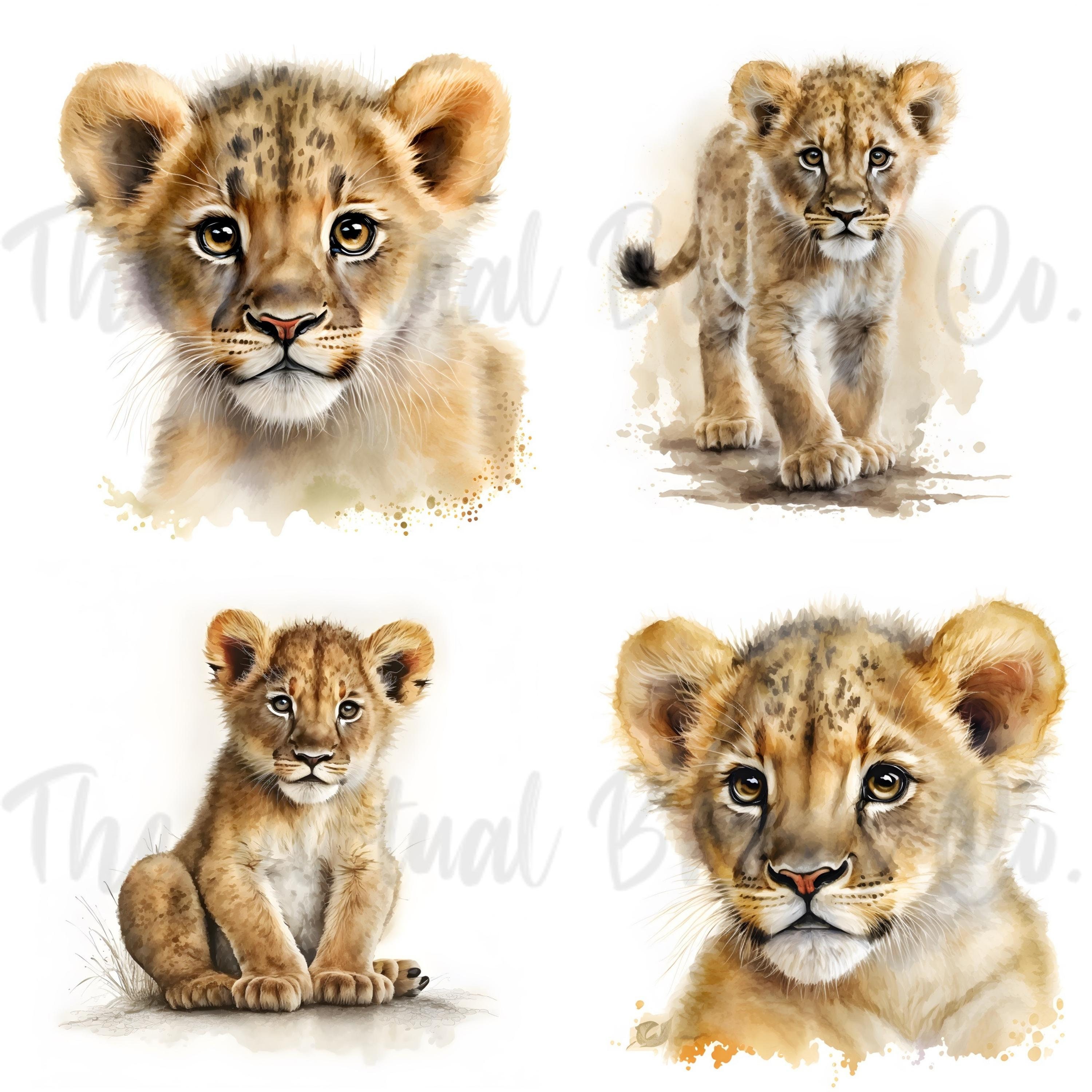 Safari Animal Clipart PNG Bundle, Baby Lion PNG, Watercolor, Baby ...