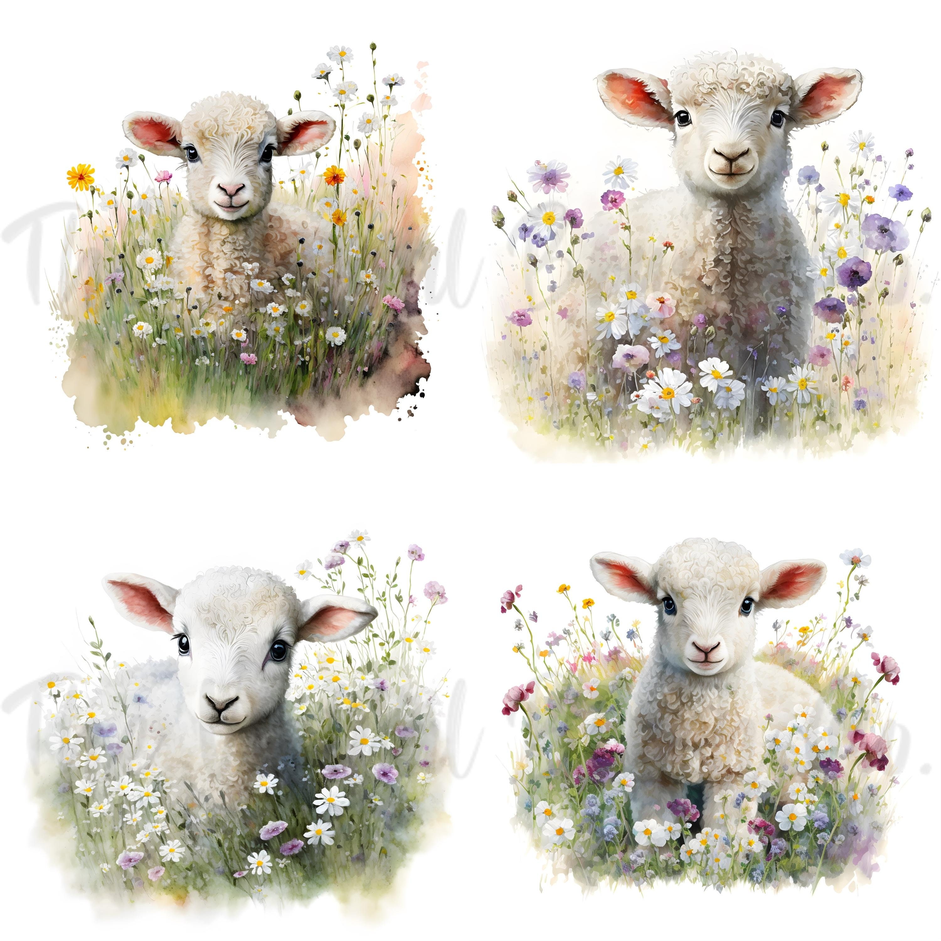 Lamb Clipart, Farm Animal PNG, Lamb PNG, Sheep Clipart, Watercolor ...