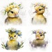 Baby Duck Clipart, Farm Animal PNG, Duck PNG, Watercolor, Farm, Bundle ...