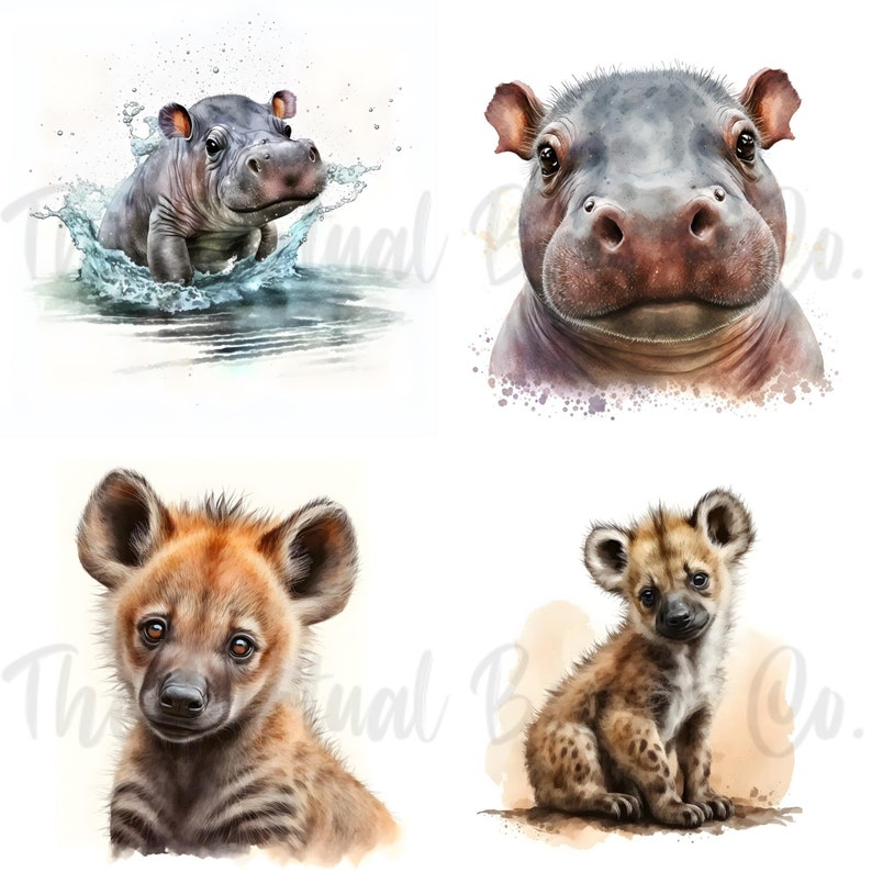 Safari Animals PNG Bundle, Baby Animals Clip Art, Watercolor, Safari ...