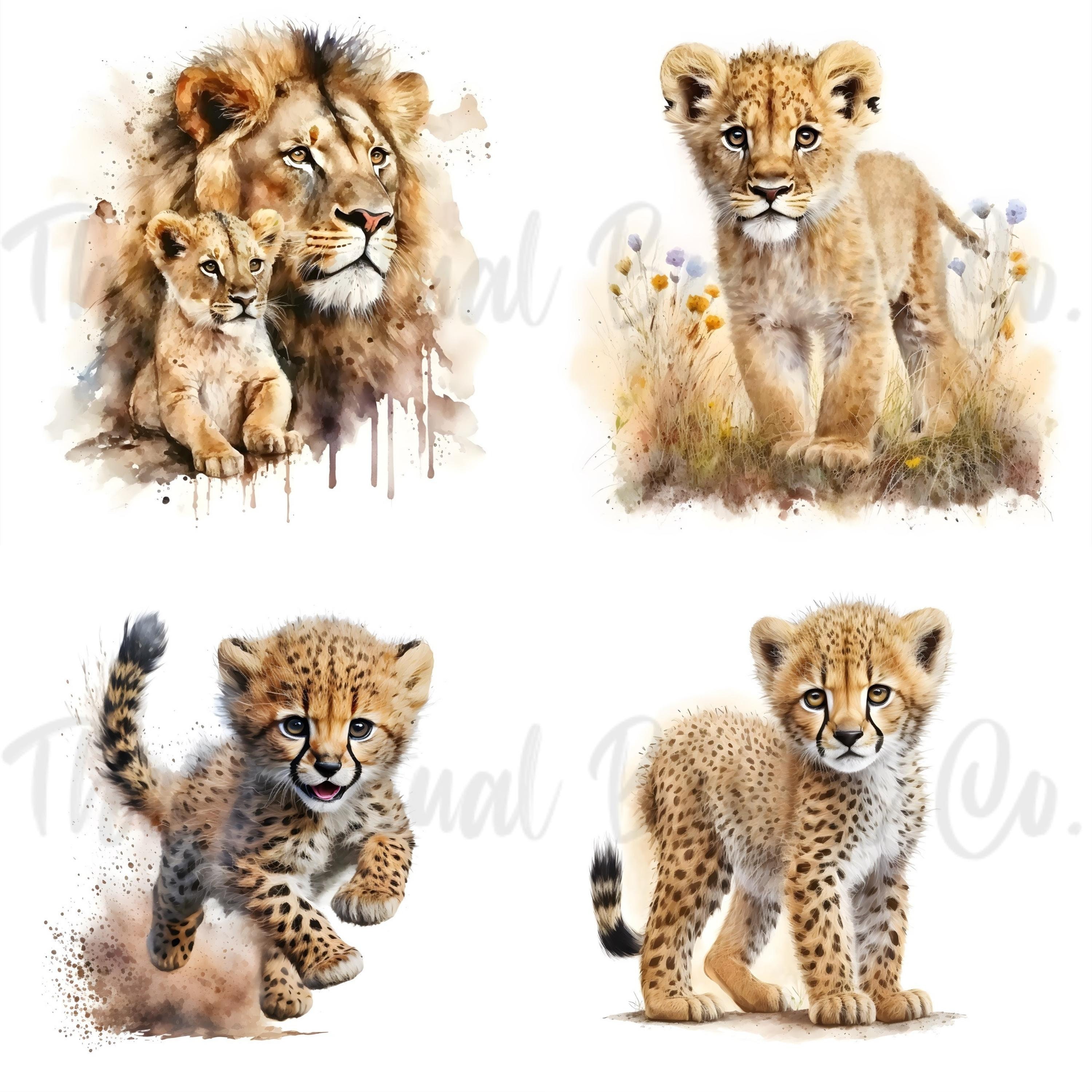 Safari Animals PNG Bundle, Baby Animals Clip Art, Watercolor, Safari ...