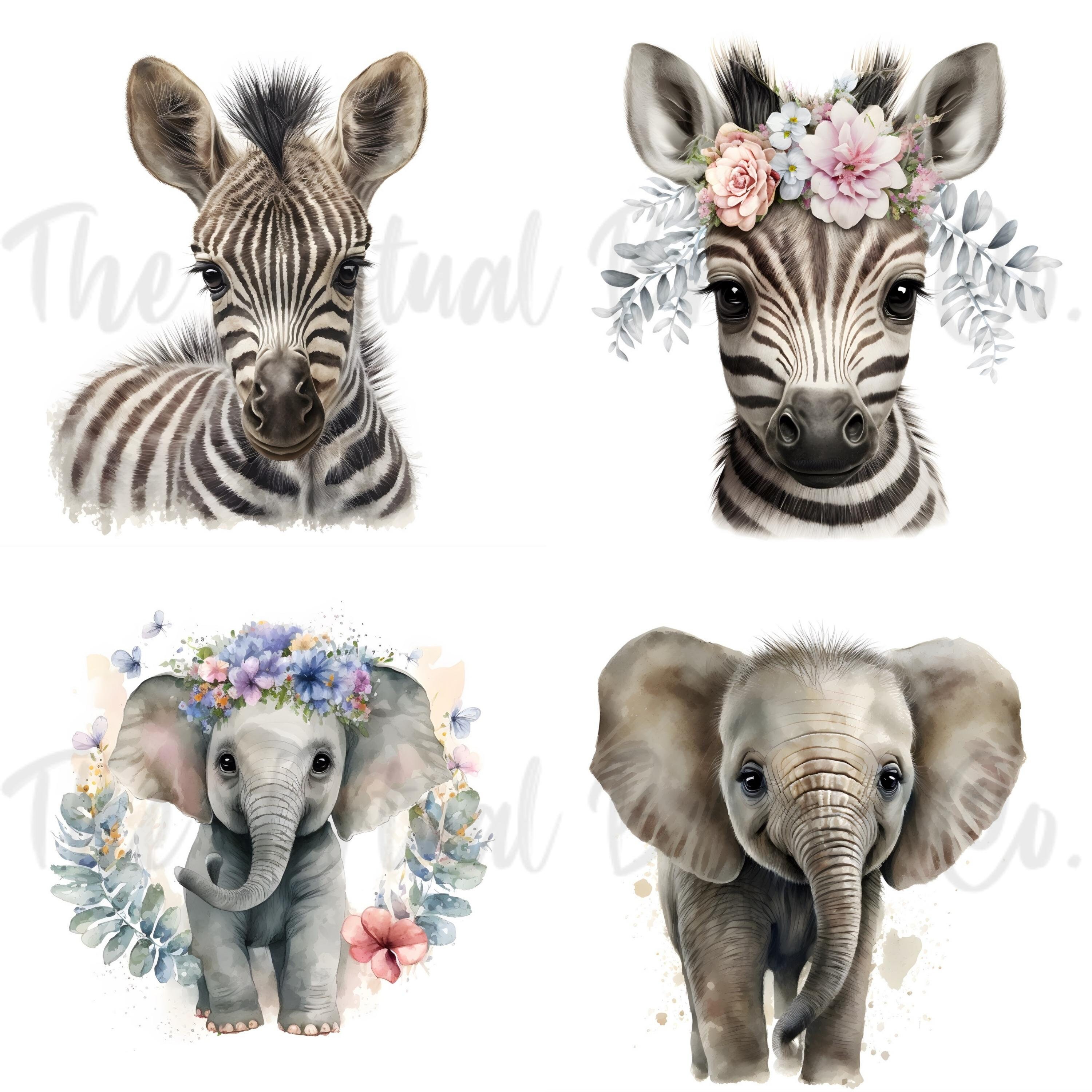 Safari Animals PNG Bundle, Baby Animals Clip Art, Watercolor, Safari ...