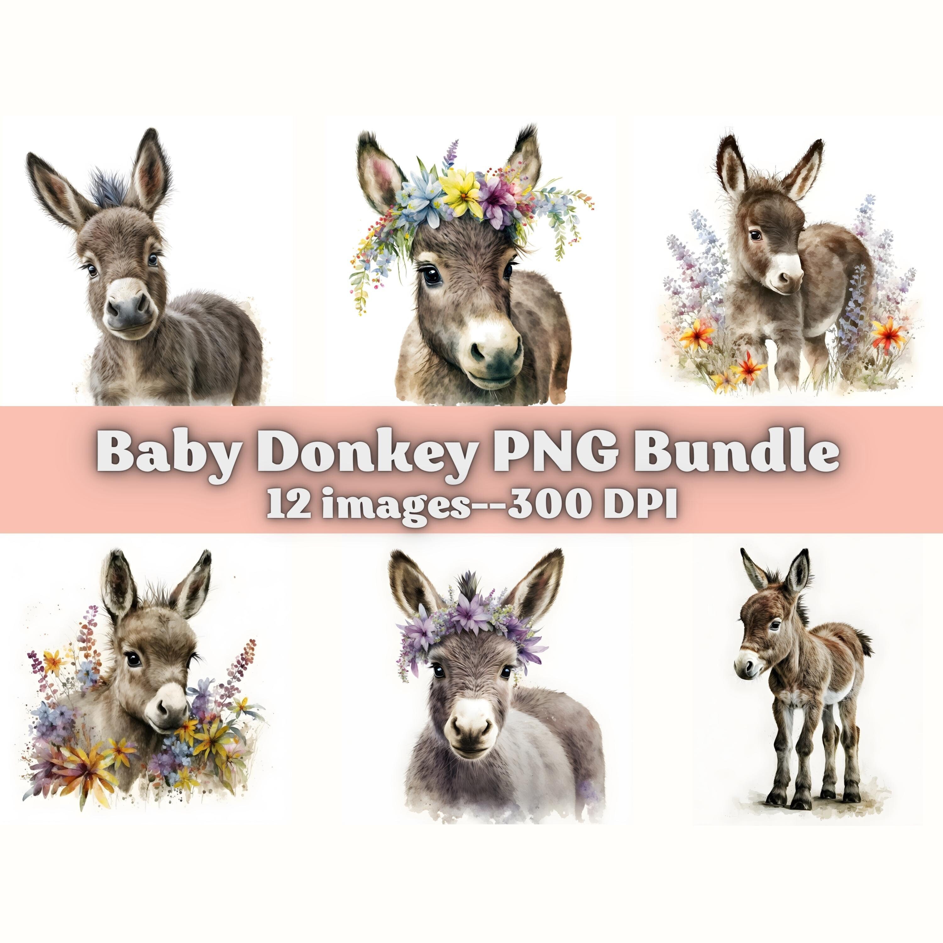 Baby Donkey Clipart, Farm Animal PNG, Baby Donkey PNG, Watercolor, Farm ...