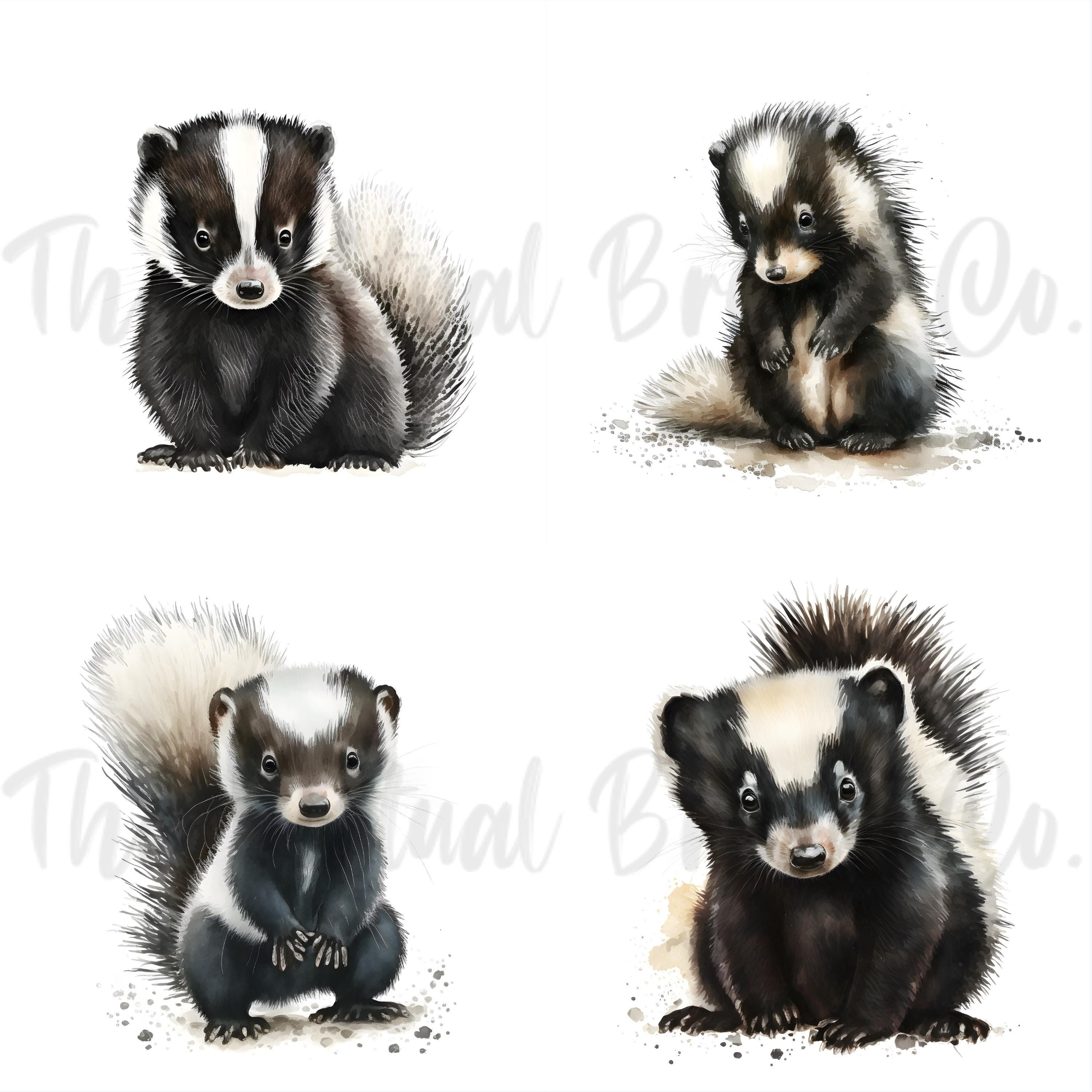 Woodland Animal PNG, Skunk Clip Art, Skunk PNG, Watercolor, Baby Skunk ...