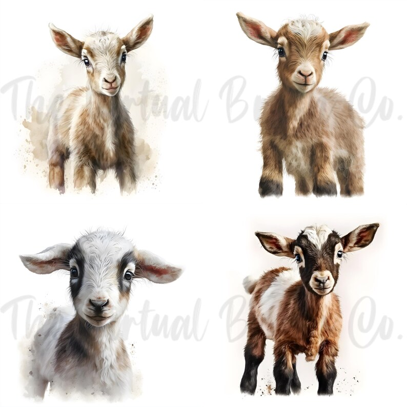 Baby Goat Clipart, Farm Animals PNG, Baby Goat PNG, Watercolor, Farm ...