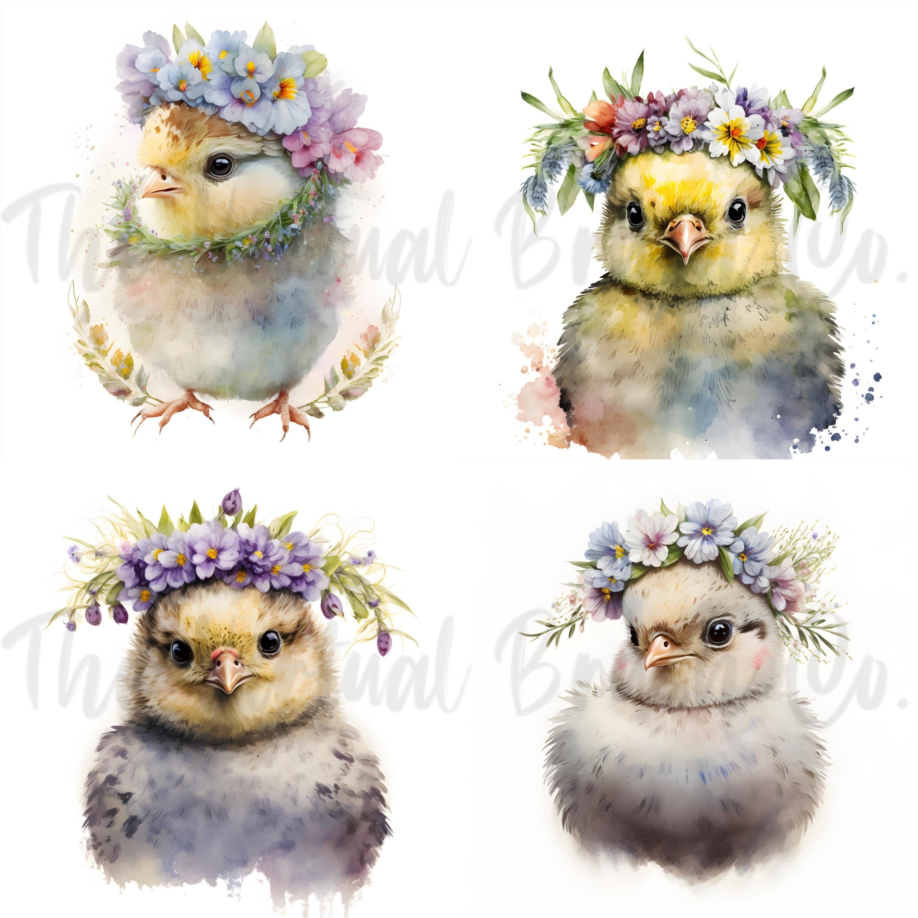 Farm Animal PNG, Baby Chick Clipart, Baby Chicken PNG, Watercolor, Farm ...