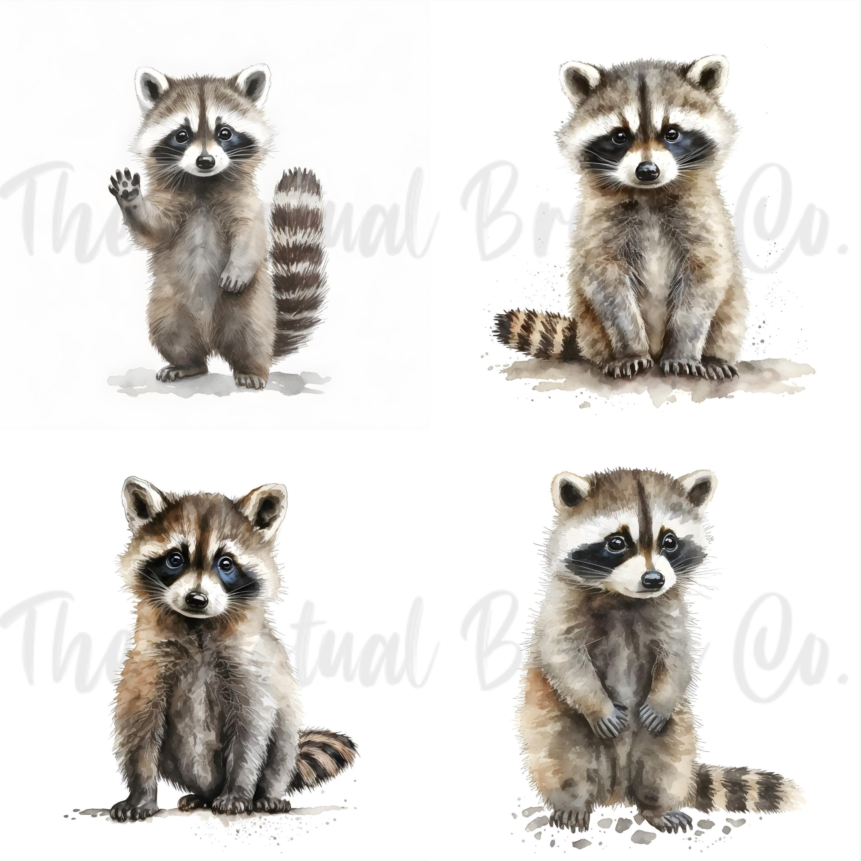 Woodland Animal PNG, Raccoon Clip Art, Baby Raccoon PNG, Watercolor ...