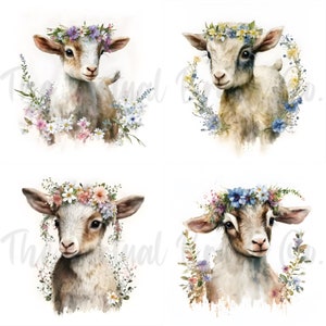 Baby Goat Clipart, Farm Animals PNG, Baby Goat PNG, Watercolor, Farm ...