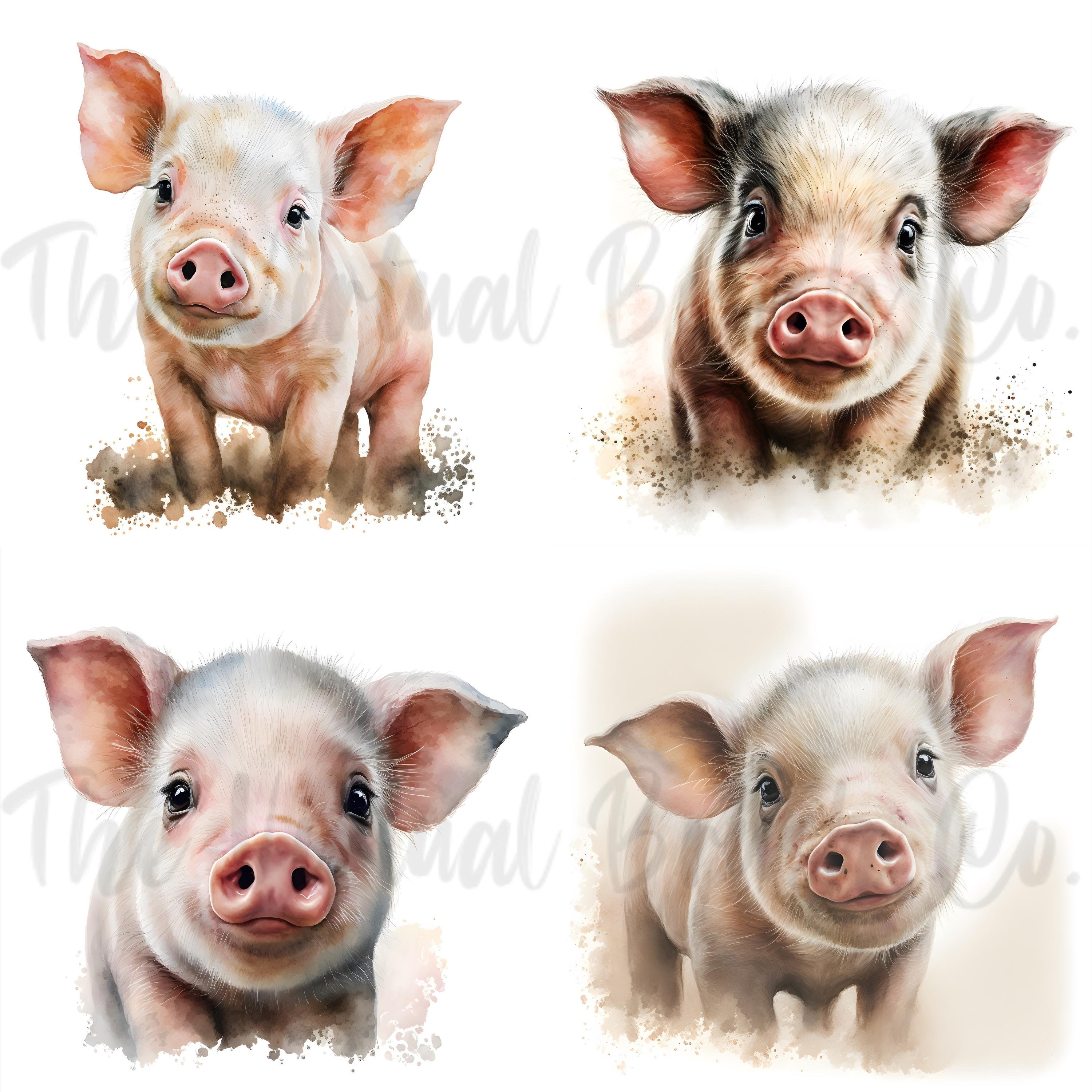 Baby Pig Clipart Piglet Clipart Farm Animal PNG Watercolor - Etsy UK