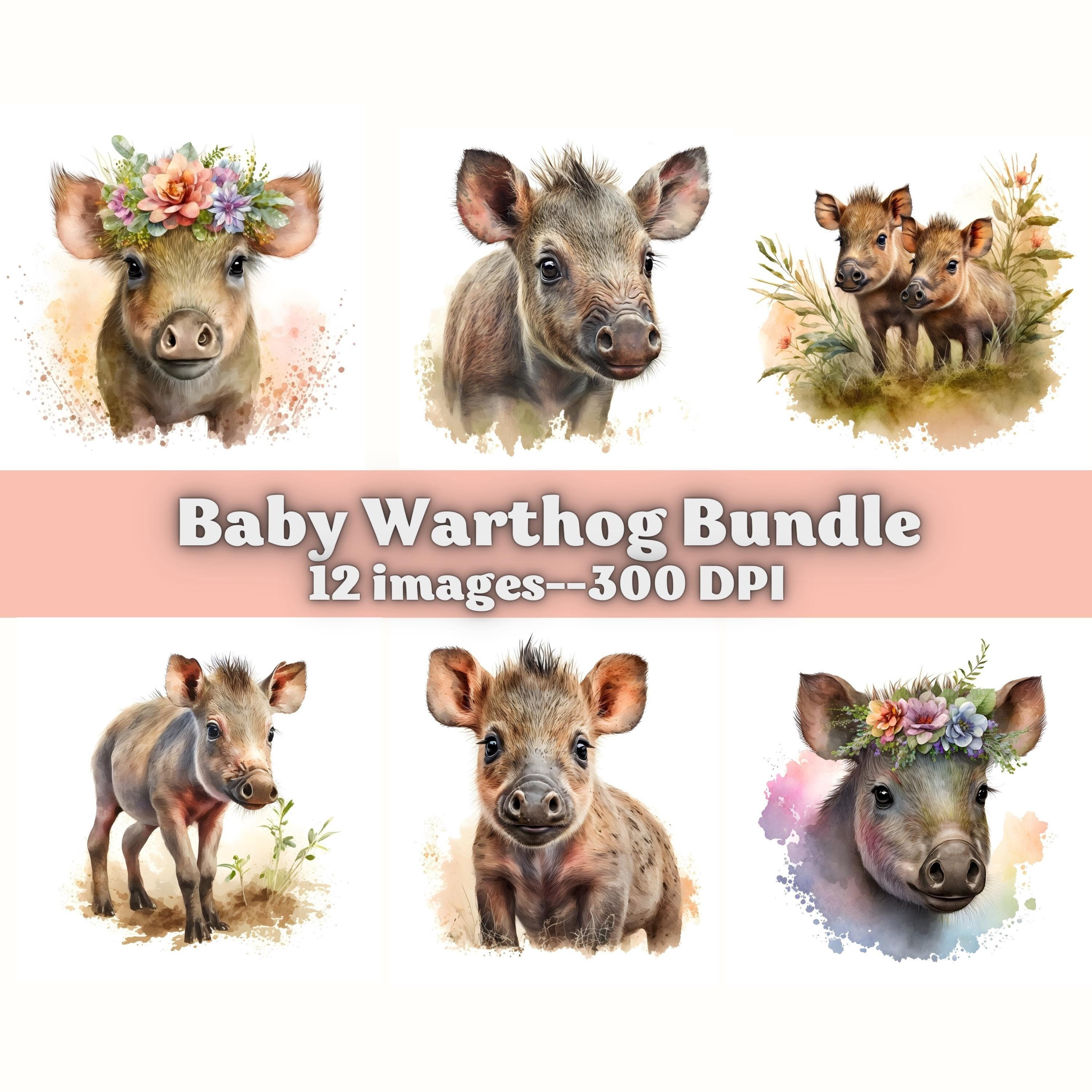 Baby Warthog