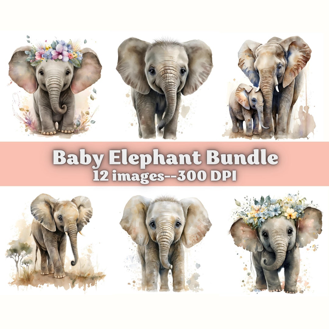 Safari Animal Clipart PNG Bundle, Baby Elephant PNG, Watercolor, Baby ...