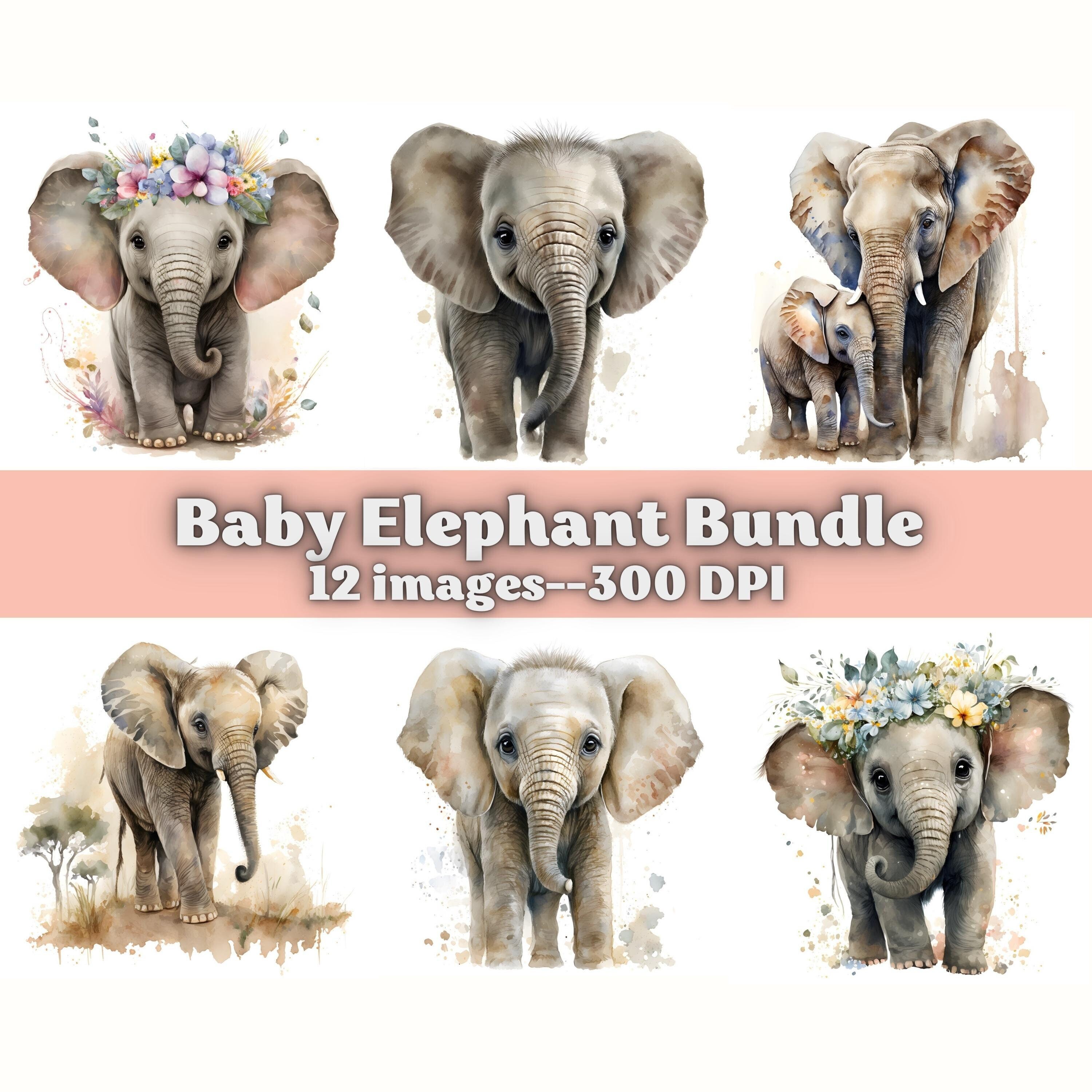 Safari Animal Clipart PNG Bundle, Baby Elephant PNG, Watercolor, Baby ...