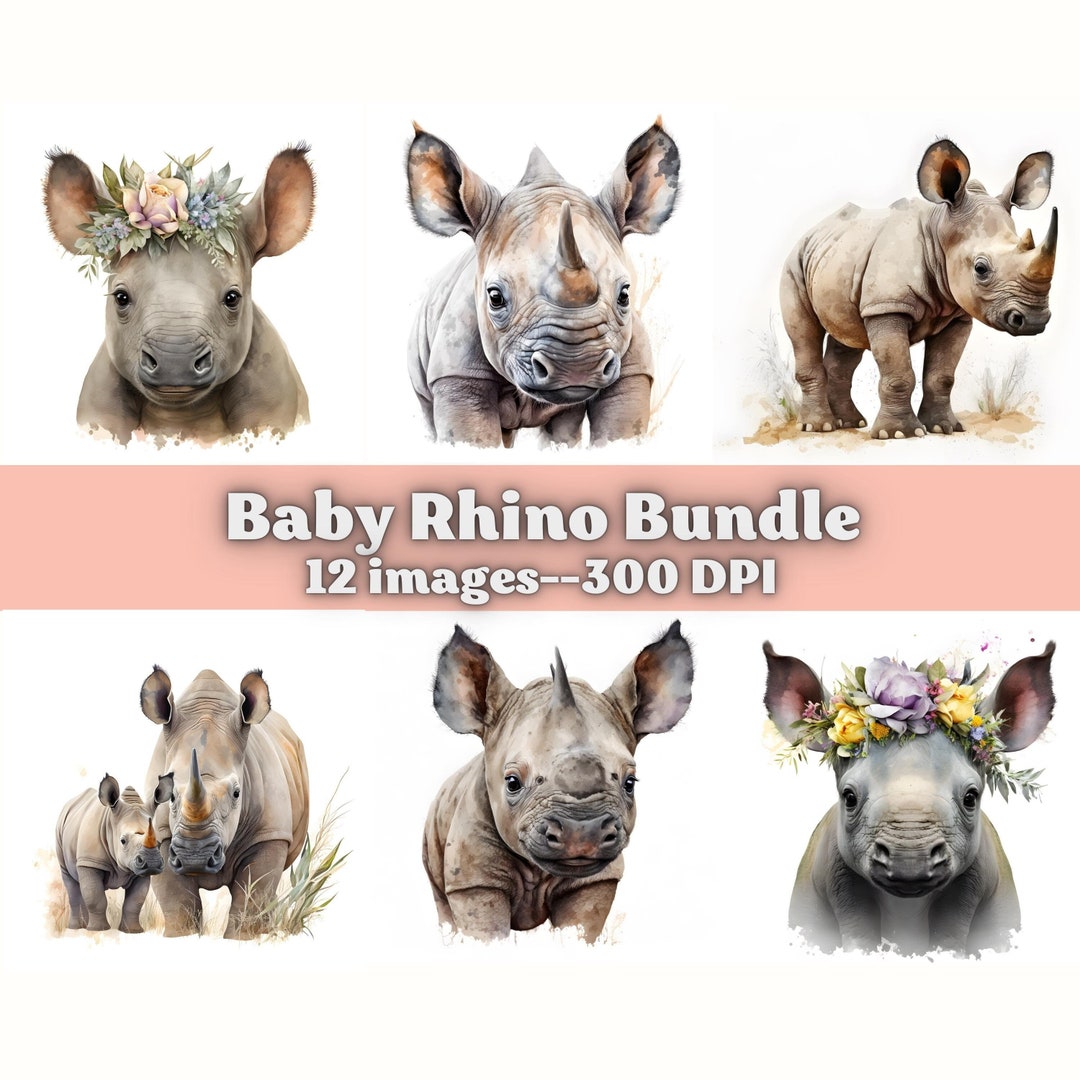 Safari Animals Clipart PNG Bundle, Baby Rhino PNG, Watercolor, Baby ...