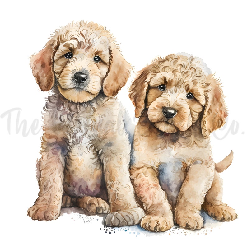 Goldendoodle PNG, Dog PNG, Watercolor, Goldendoodle Clipart, Cute Dog ...