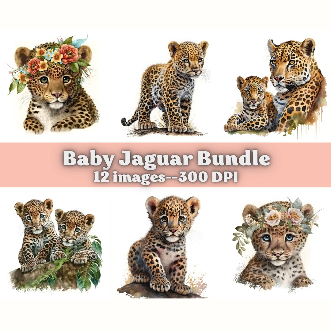 Jungle Animals Clipart PNG Bundle, Baby Jaguar PNG, Watercolor, Baby ...