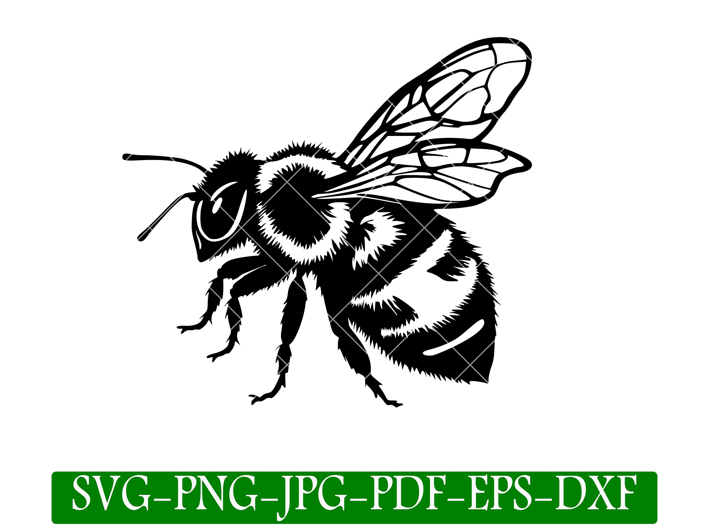 Bee Svg Honey Bee Clipart Bumble Bee DIY Decal Cricut Bee - Etsy