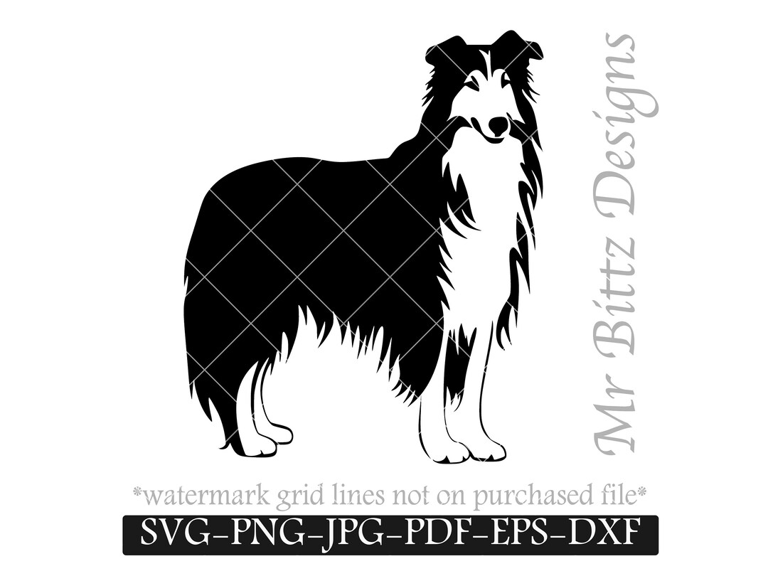 Collie SVG DIY Decal Cute Pet Sticker Fur Baby Canine - Etsy