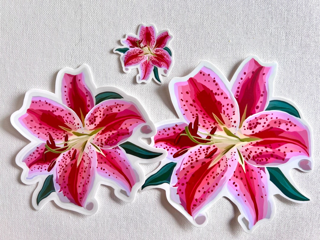 Vinyl Pink Lily Sticker Large Sizes Matte Glossy Water Resistant ...