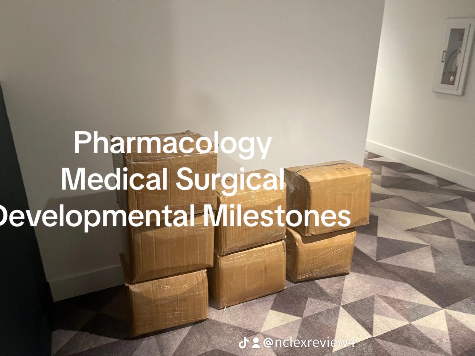 Pediatrics: Developmental Milestones - Etsy