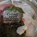 Gone Not Soon Enough - Etsy