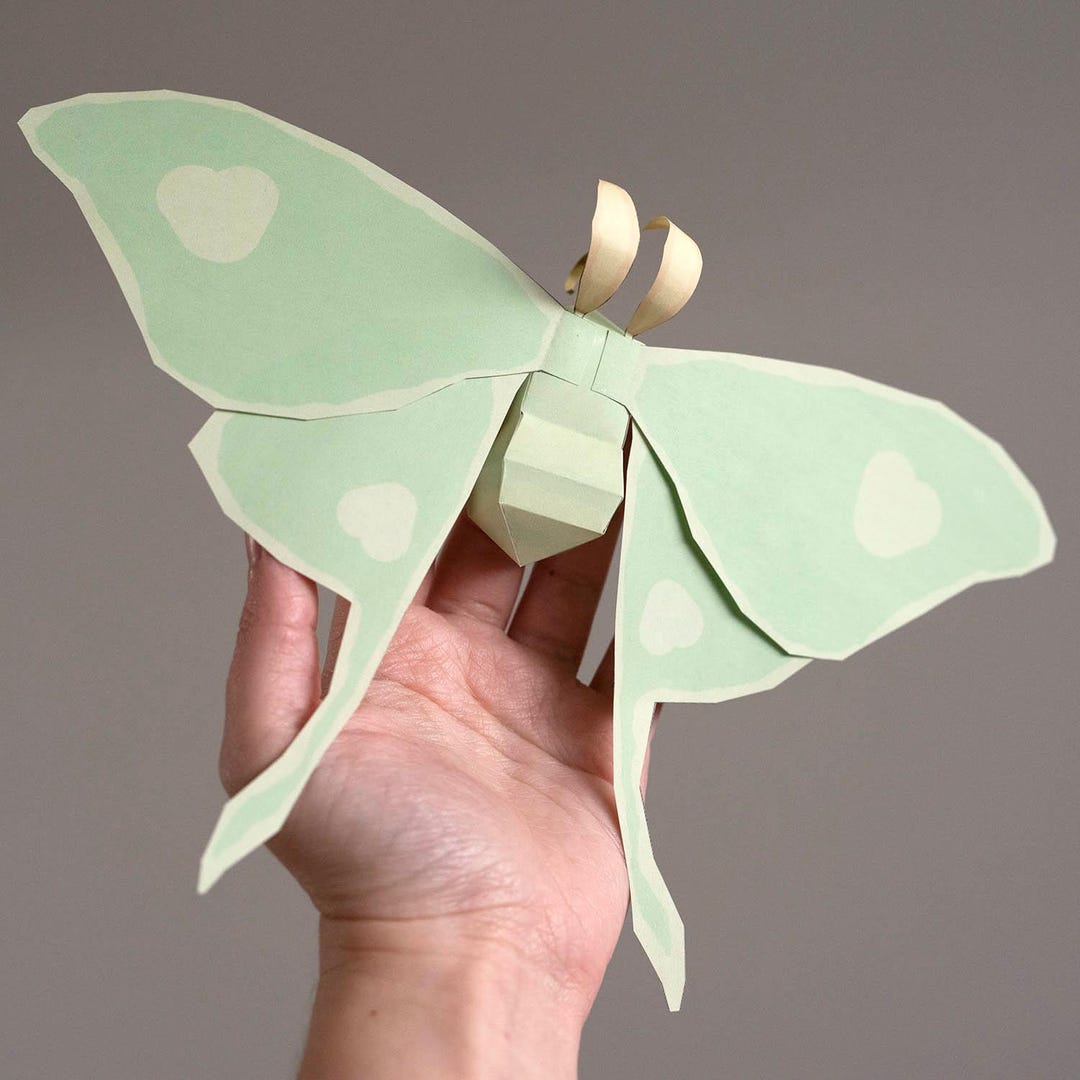 Luna and Atlas Moth Papercraft Pattern Set - Etsy
