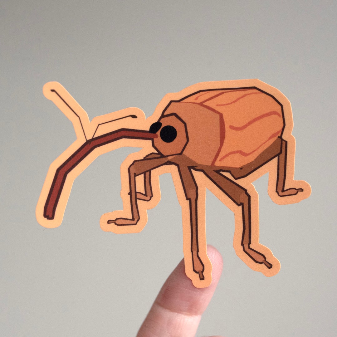 Low Poly Acorn Weevil Glossy Vinyl Sticker - Etsy