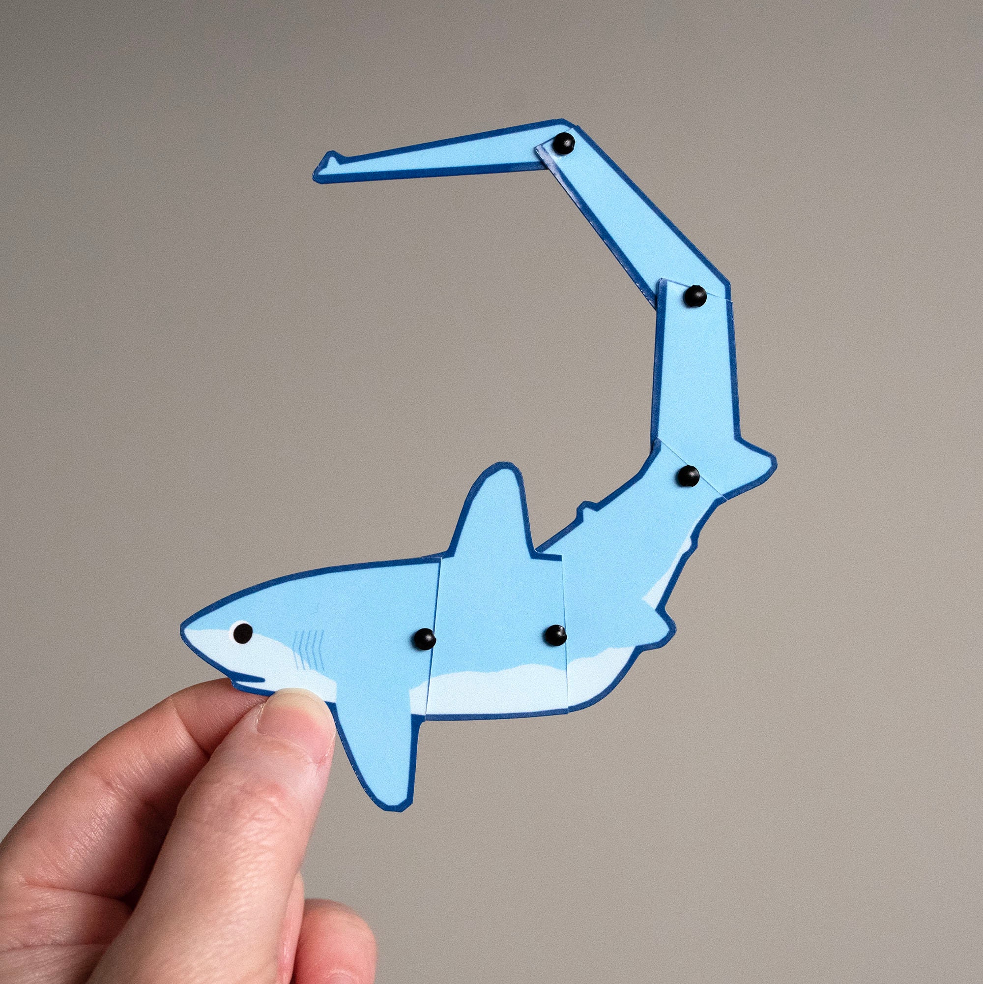 Thresher Shark Articulated Paper Doll - Etsy