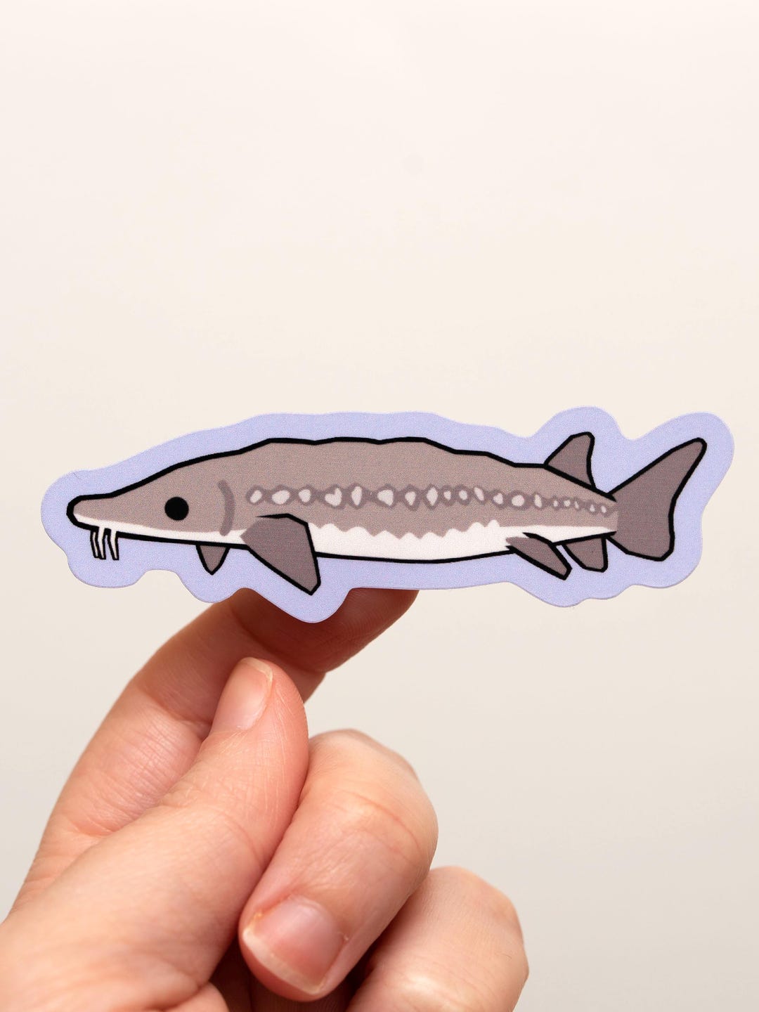 Sturgeon Glossy Vinyl Water and Scratch Resistant Sticker - Etsy