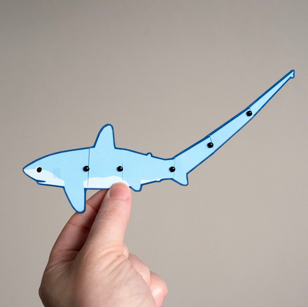 Thresher Shark Articulated Paper Doll - Etsy