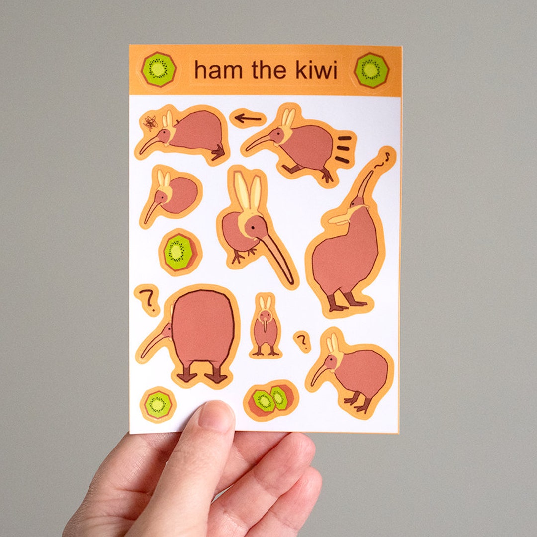 Low Poly Kiwi Bird Glossy Vinyl Sticker Sheet - Etsy