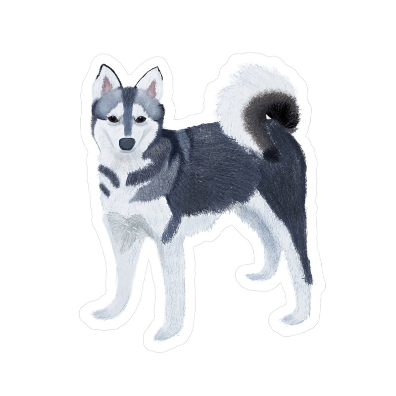 Klee Kai - Etsy