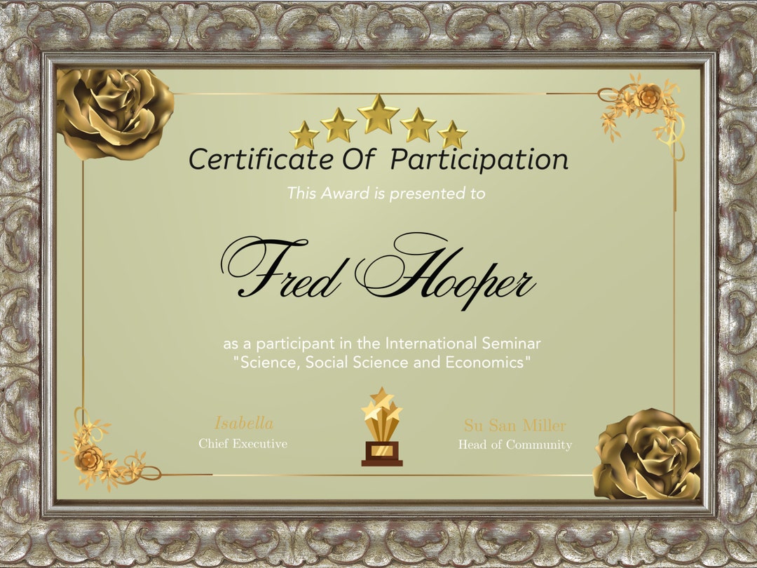 Participation Certificate Award| Recognition Award Display| Award ...