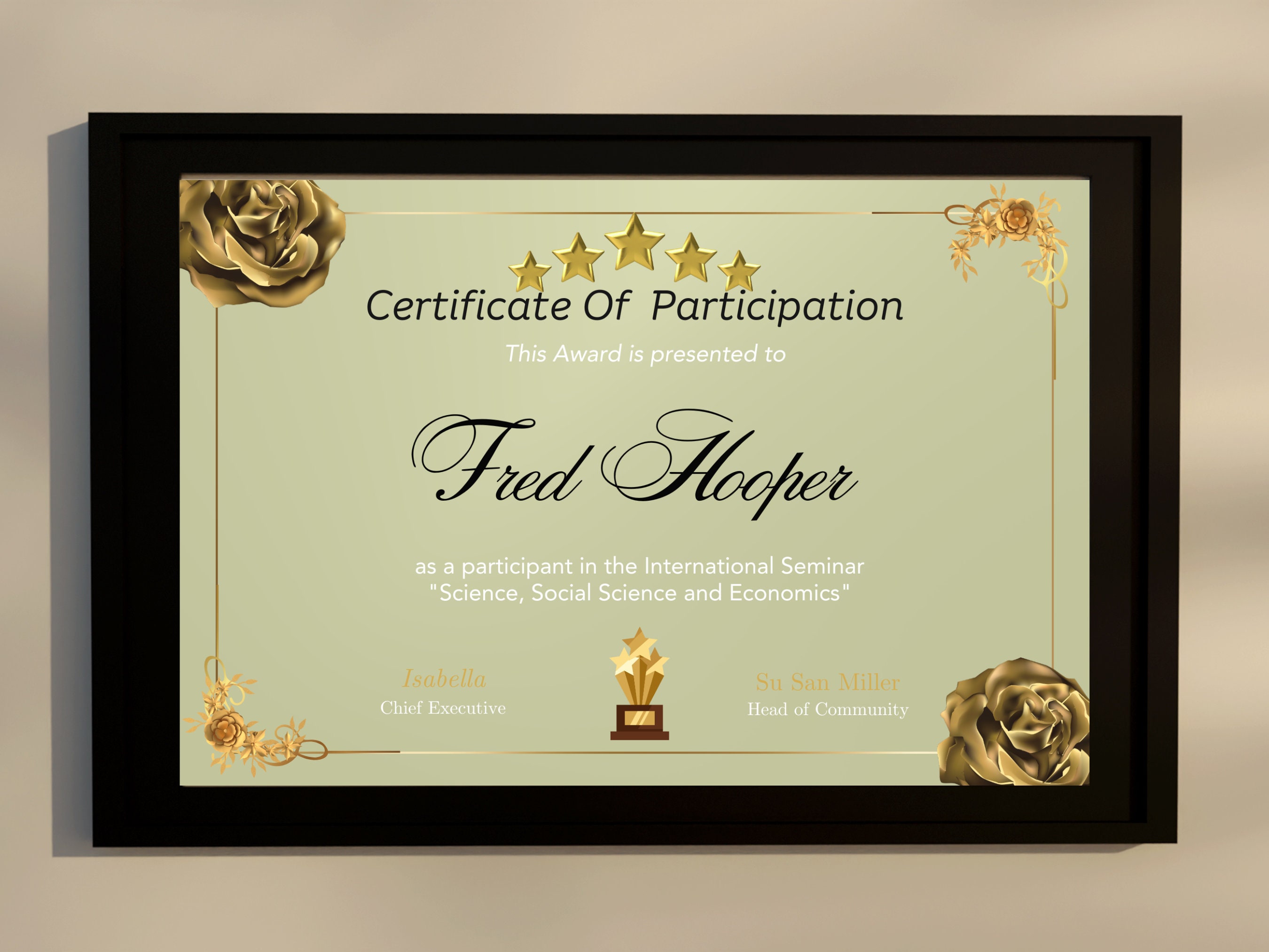 Participation Certificate Award| Recognition Award Display| Award ...