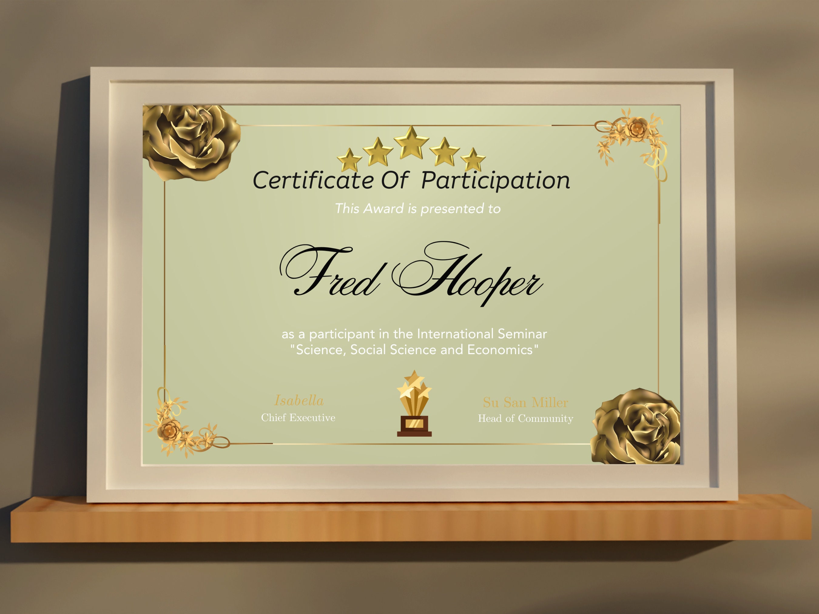 Participation Certificate Award| Recognition Award Display| Award ...